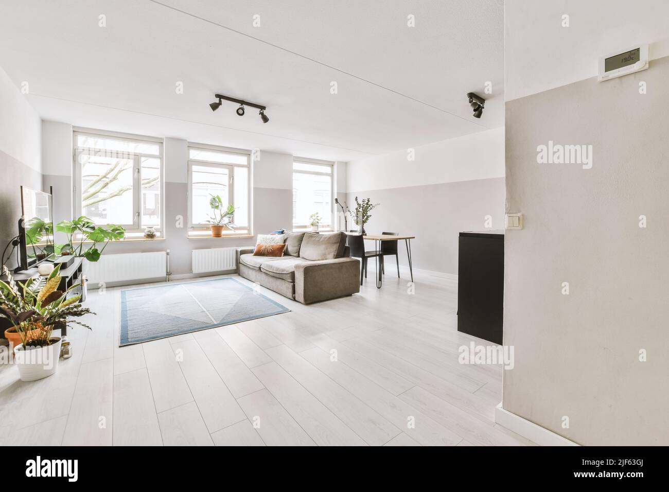 Simple interior of light living room with gray sofa in front of TV and ...