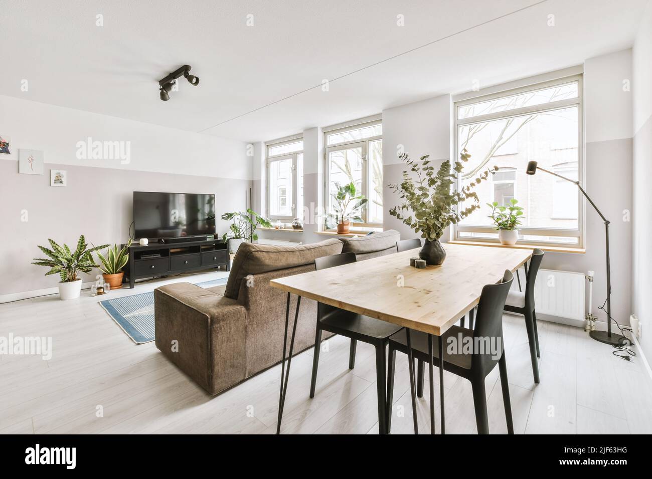 Simple interior of light living room with gray sofa in front of TV and ...