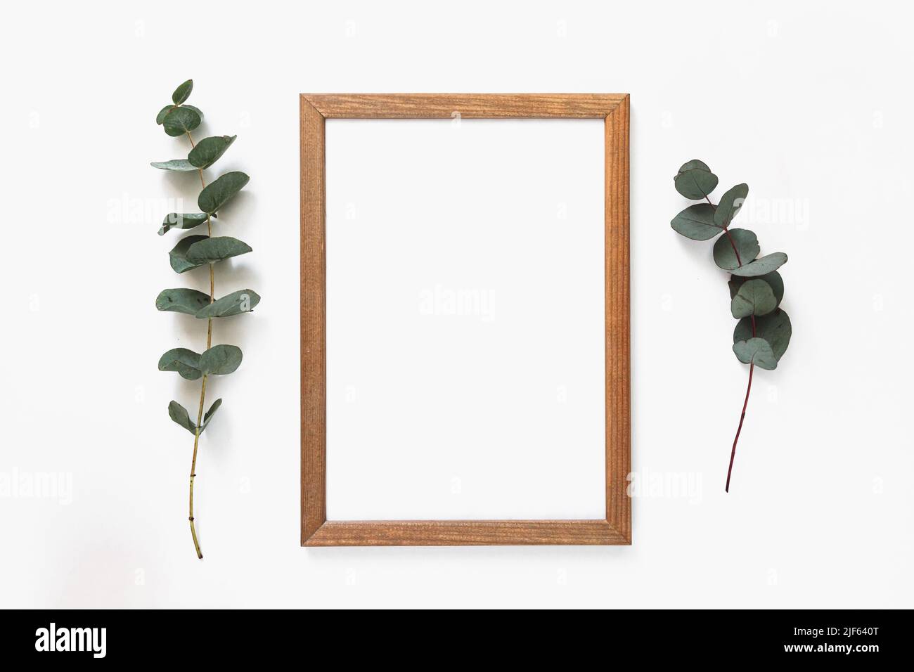 Eucalyptus poster hi-res stock photography and images - Alamy