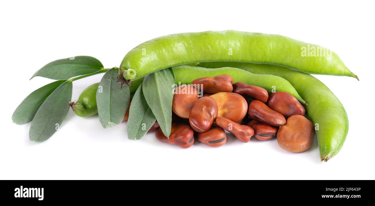 Fresh broad beans in pods with green leaf, isolated on white background ...