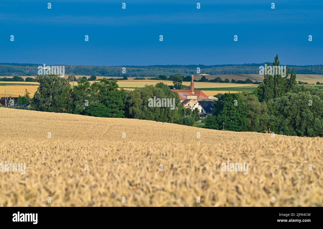 Uckermark western europe to live hi-res stock photography and images ...