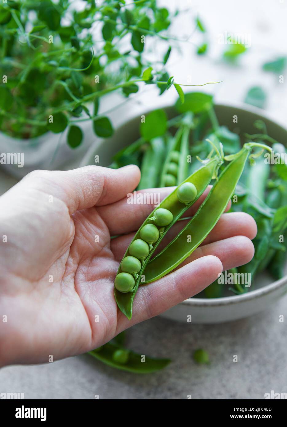 Bowl with young fresh juicy pods of green peas on a concrete background ...