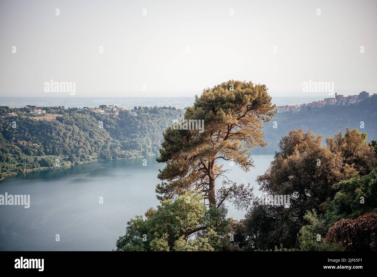 Panoramic view from the hill overlooking the stone pine trees and the ...