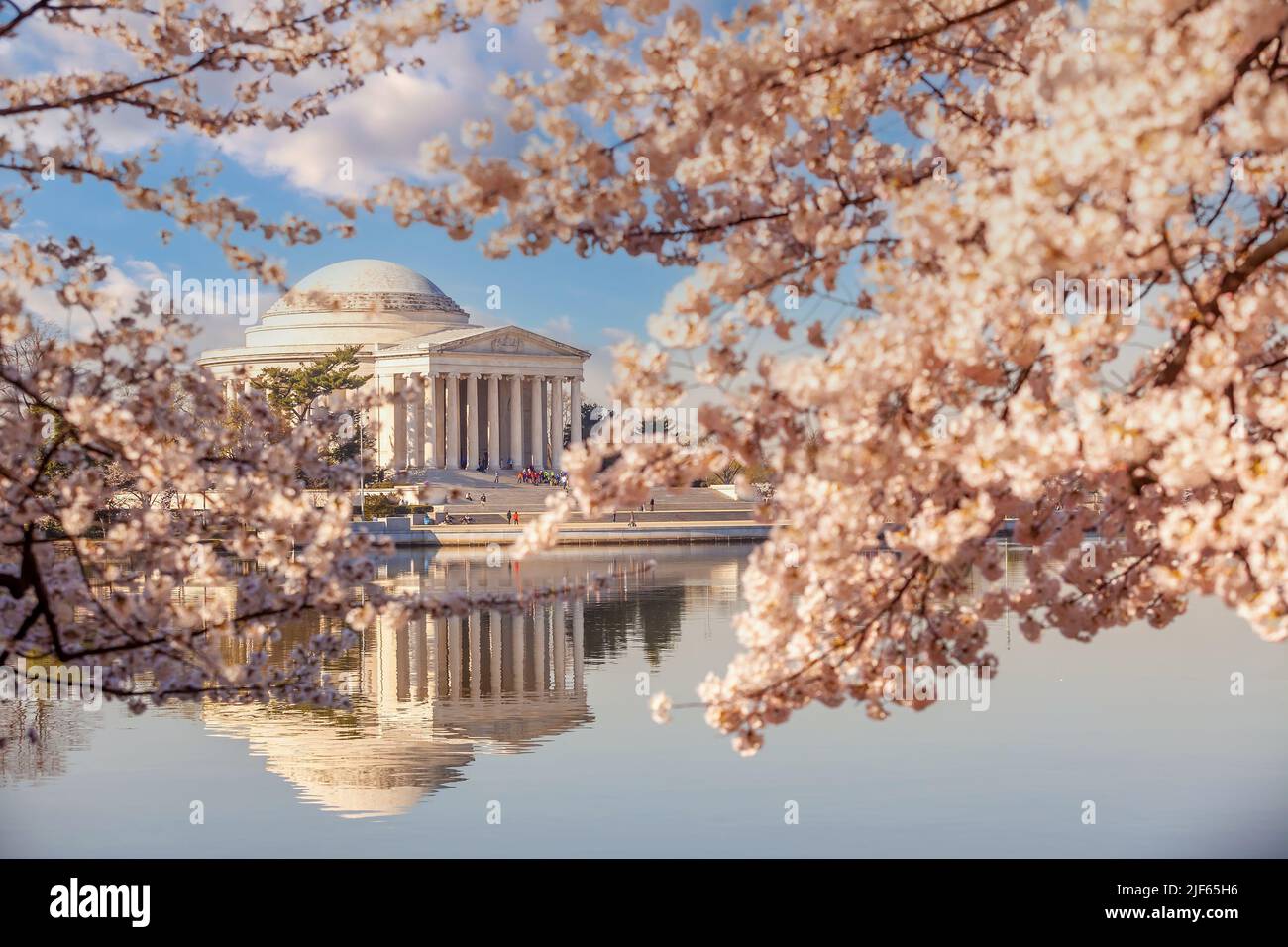 The Jefferson Memorial during the Cherry Blossom Festival. Washington, D.C. in USA Stock Photo ...