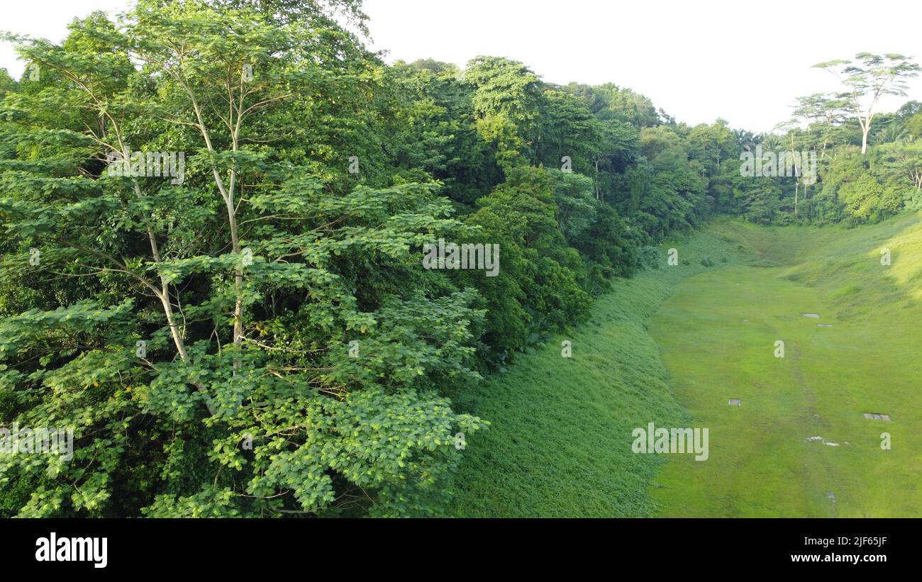 A bird's-eye view of a narrow field surrounded by dense forest Stock ...