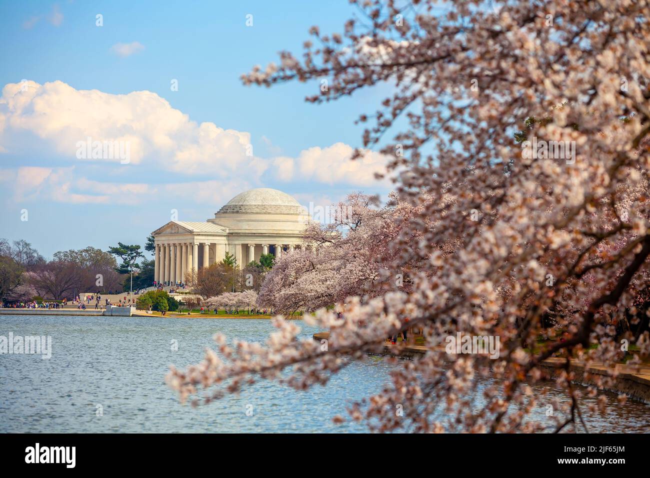 The Jefferson Memorial during the Cherry Blossom Festival. Washington, D.C. in USA Stock Photo ...