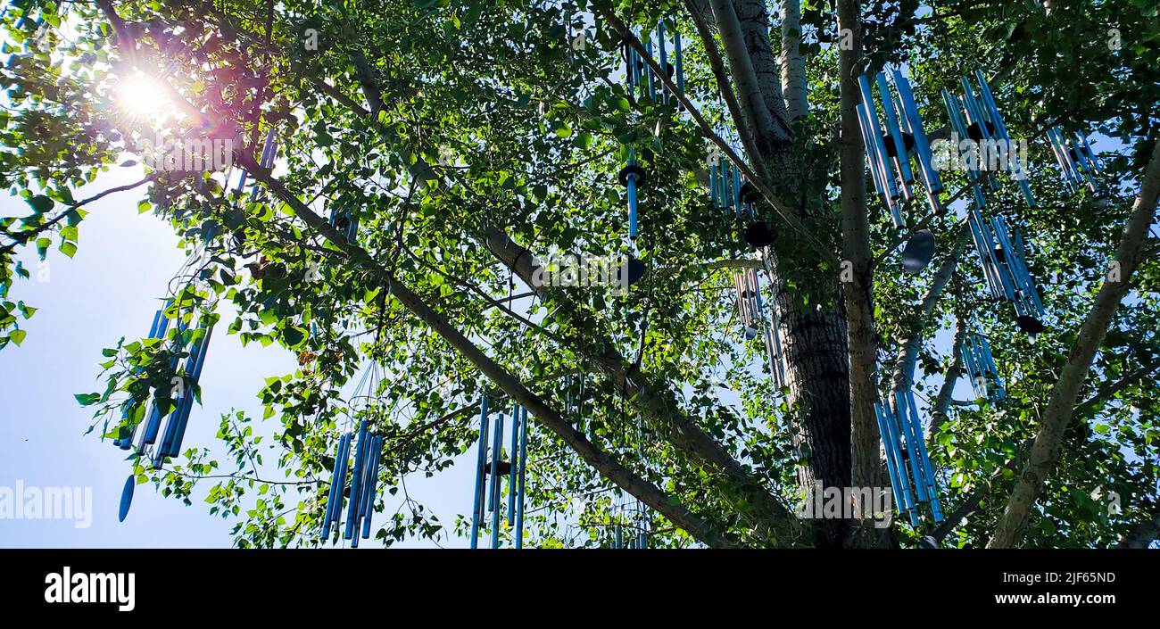 A low-angle shot of wind chimes hanging from a tree Stock Photo - Alamy