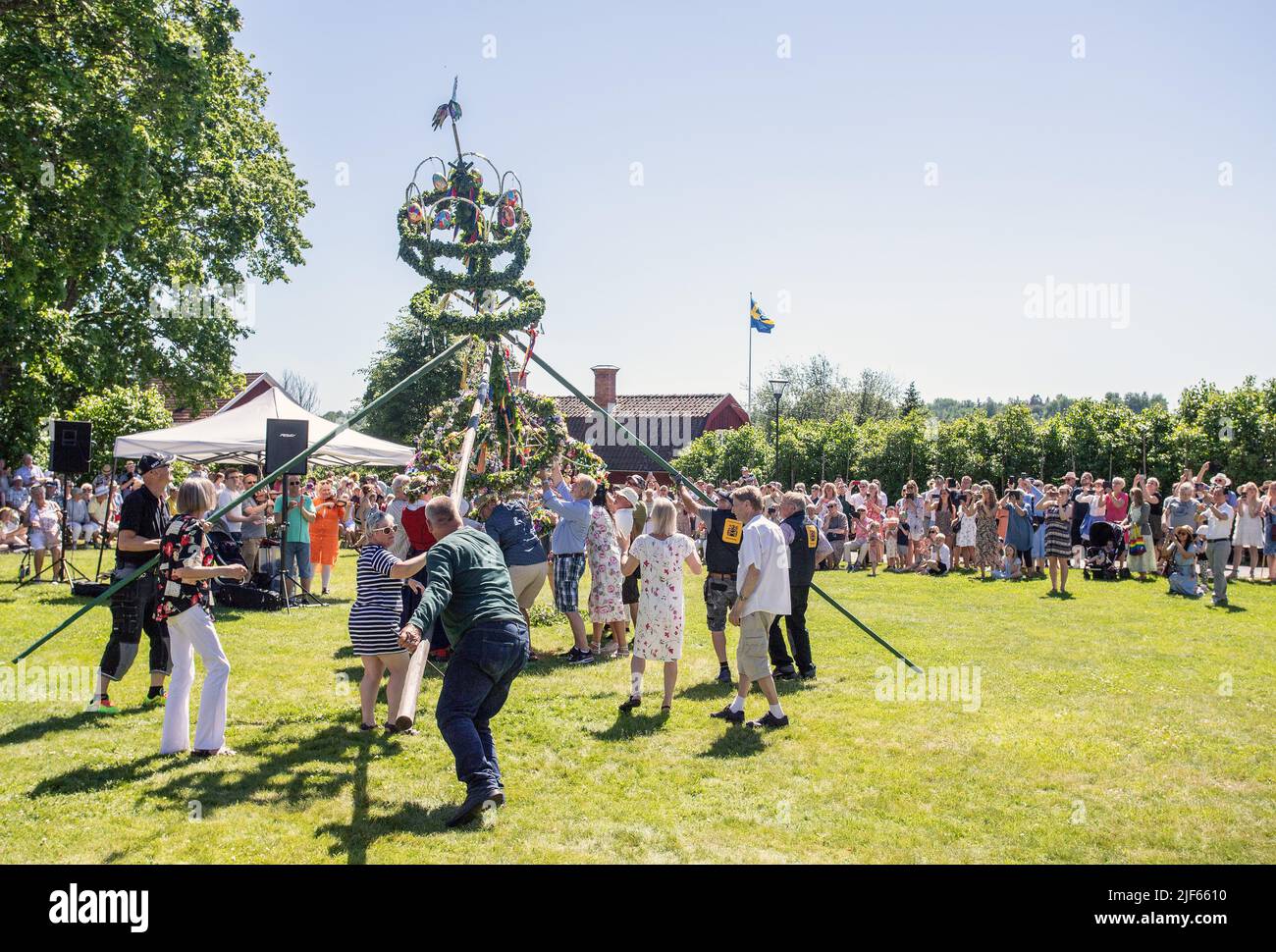 A group of people erecting the midsummer pole at the public celebration ...