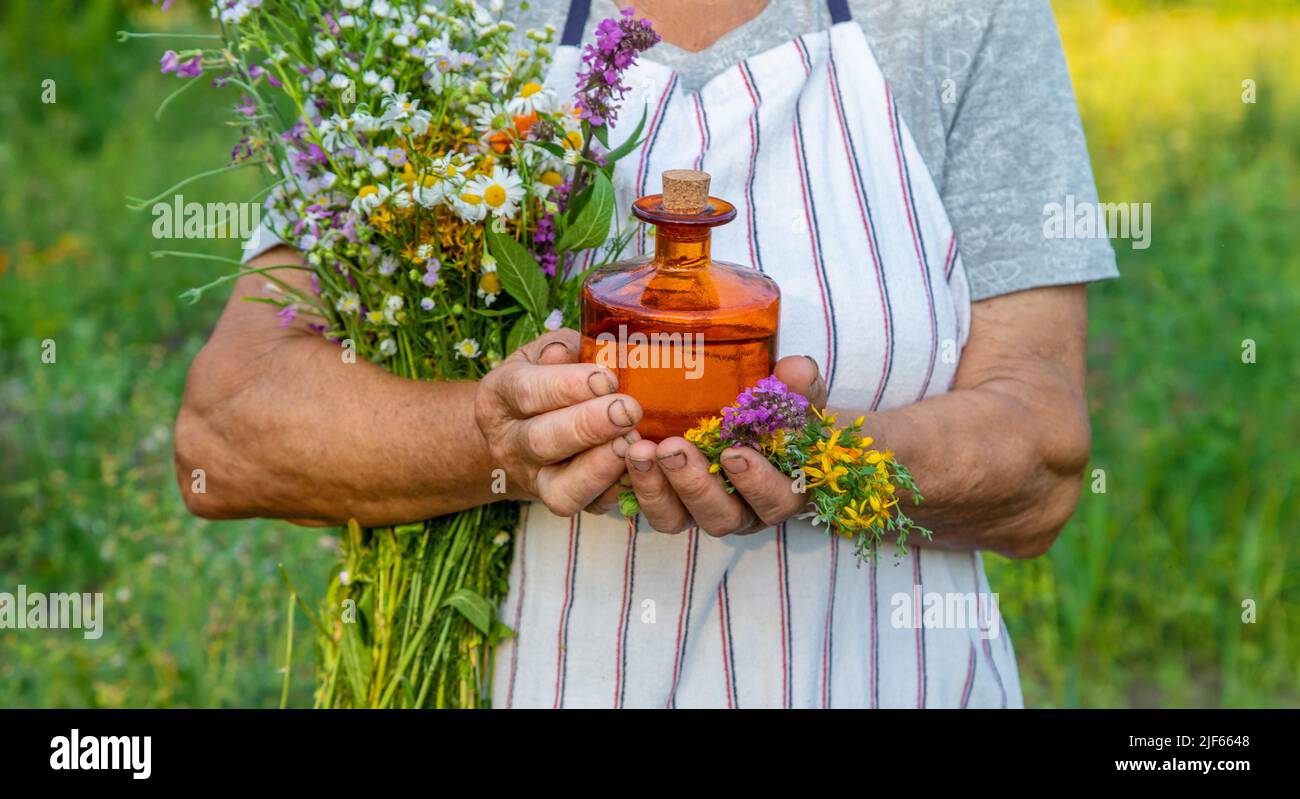 Old woman makes herbal tincture. Selective focus Stock Photo - Alamy