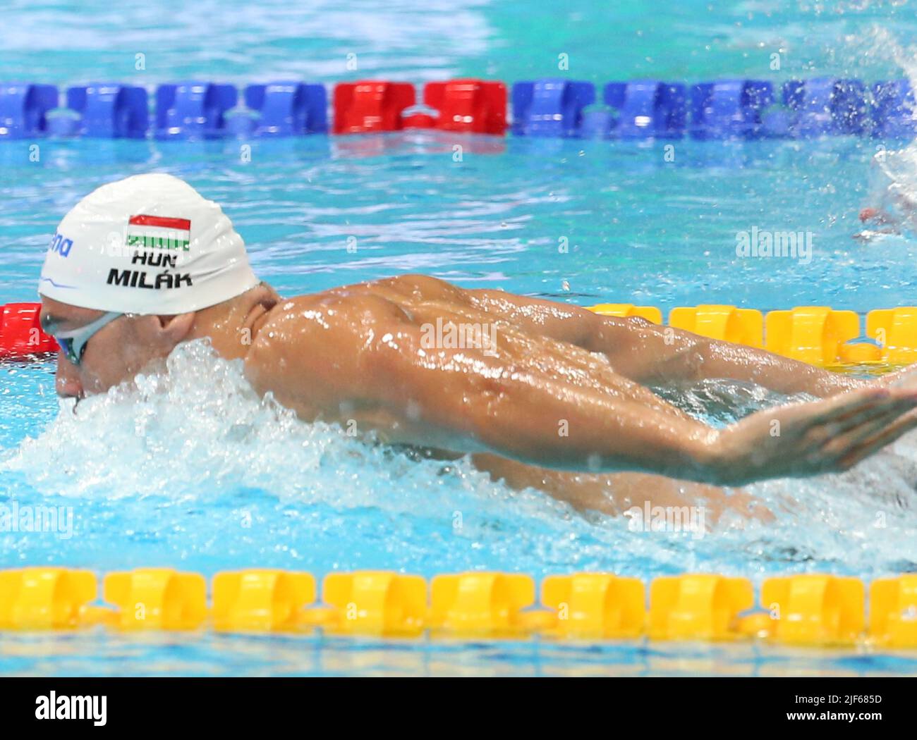 Kristof Milak of Hongrie 1/2 Finale 200 M Butterfly Men during the 19th ...