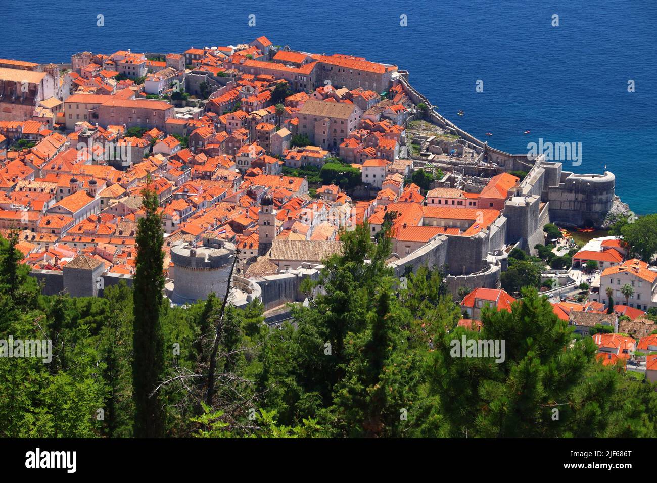 Medieval city of Dubrovnik, Croatia. Fortified Old Town and cypress ...