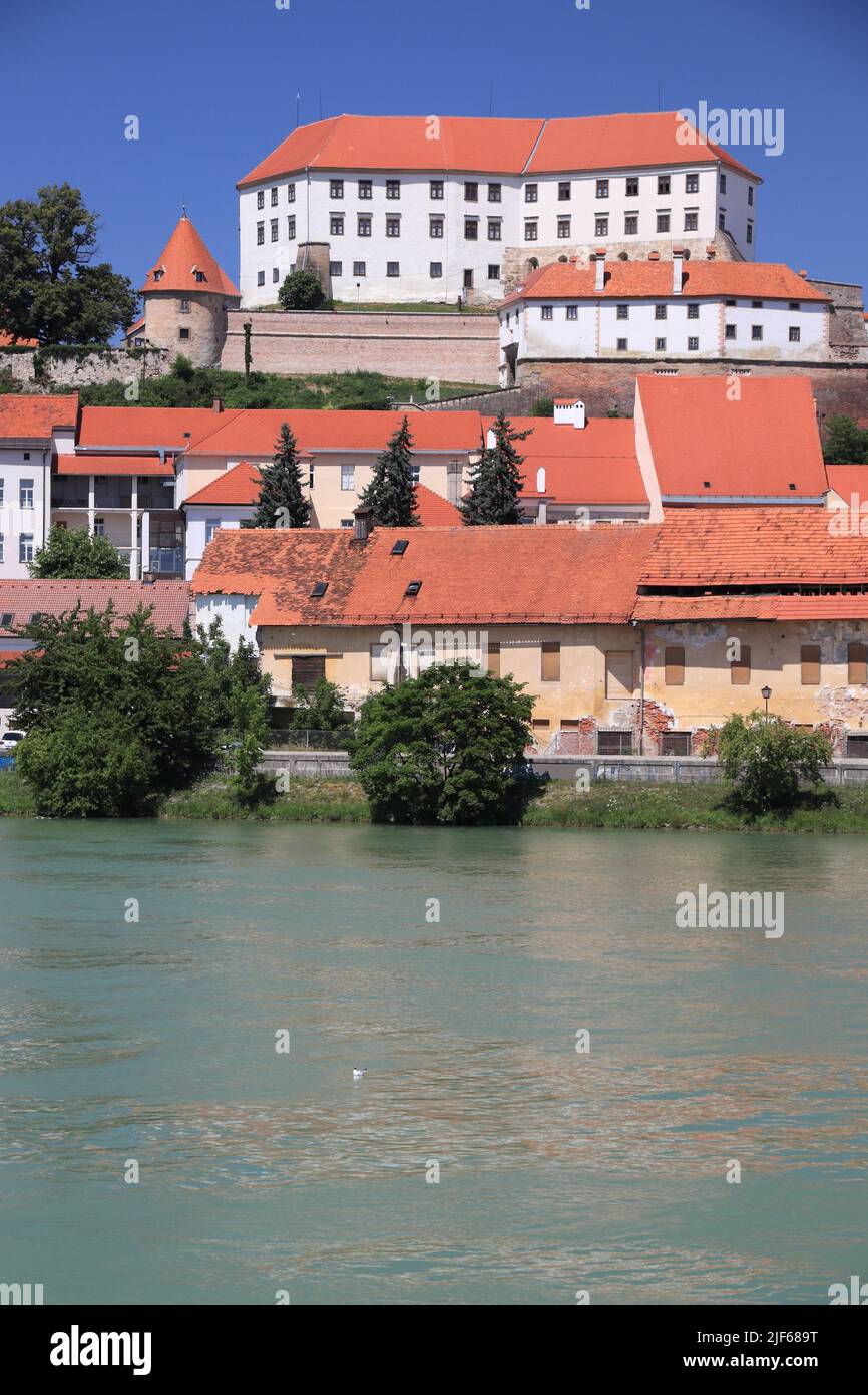 Ptuj Castle in Slovenia. Medieval landmark alongside Drava river in ...