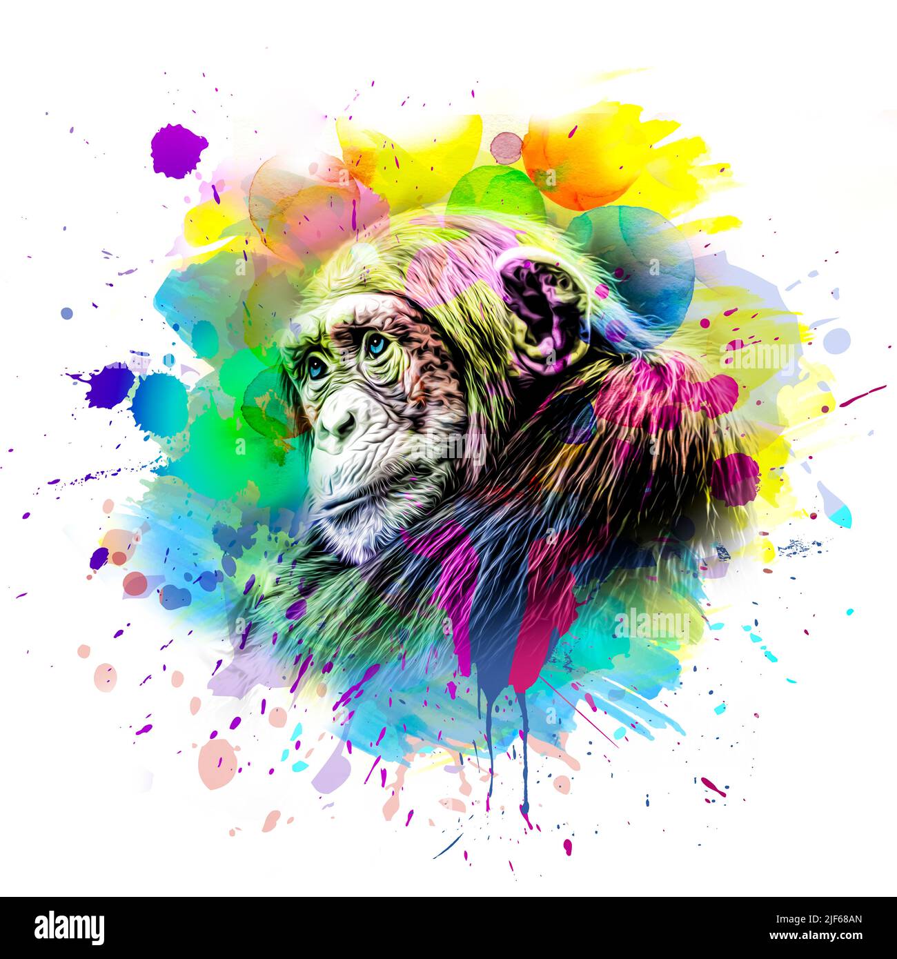colorful artistic monkey muzzle with bright paint splatters on white ...