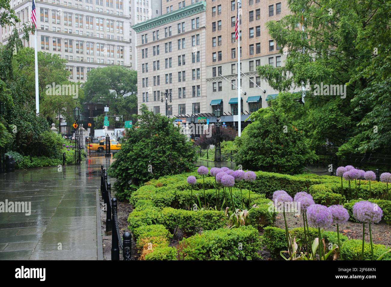 NEW YORK, USA - JUNE 7, 2013: Plants in City Hall park in Lower ...