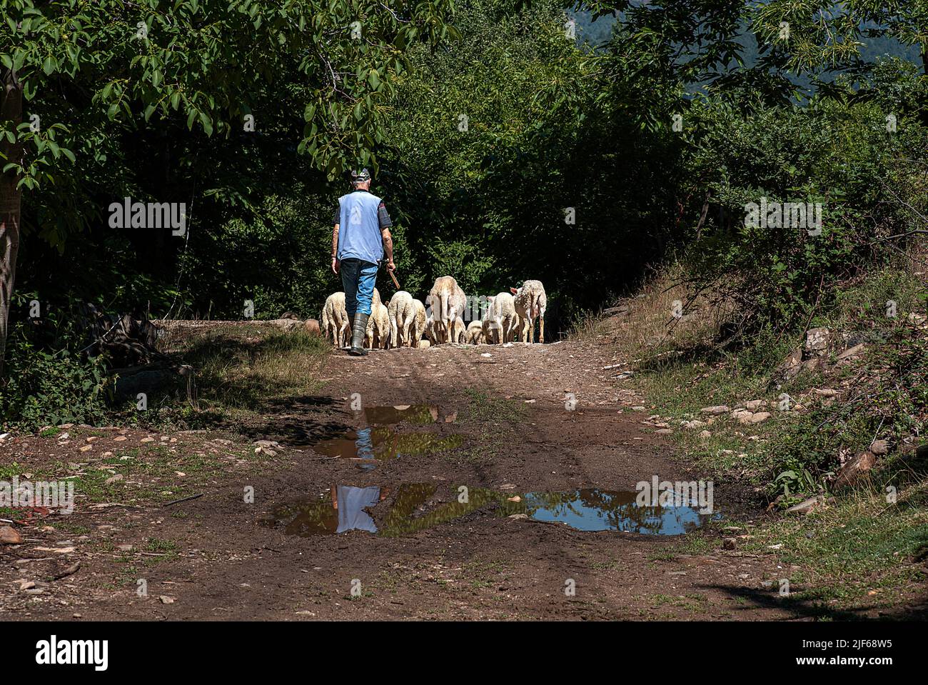 Wallpaper with person behind hi-res stock photography and images - Alamy