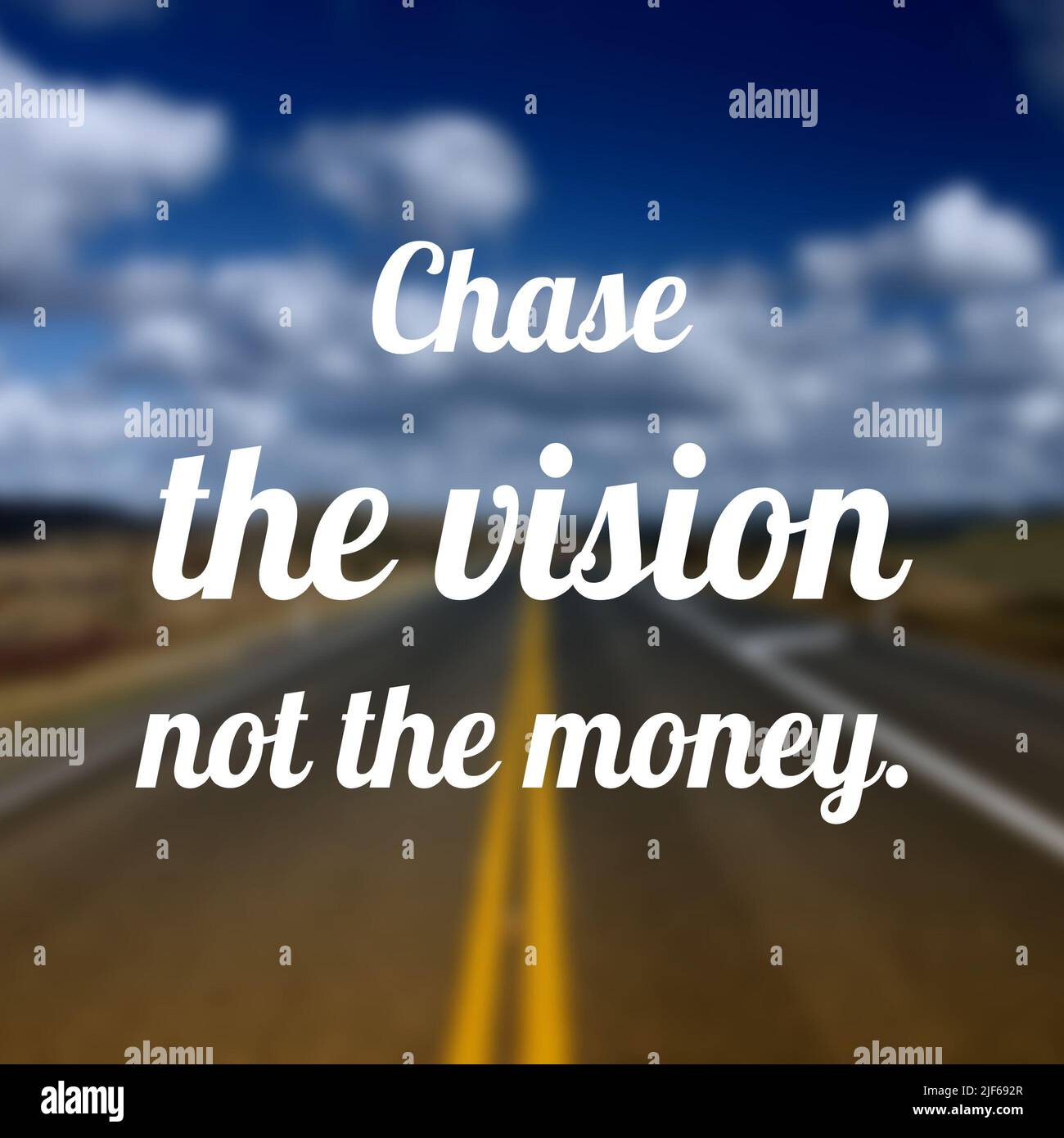 Chase the vision, not the money. Business motivational quote poster ...