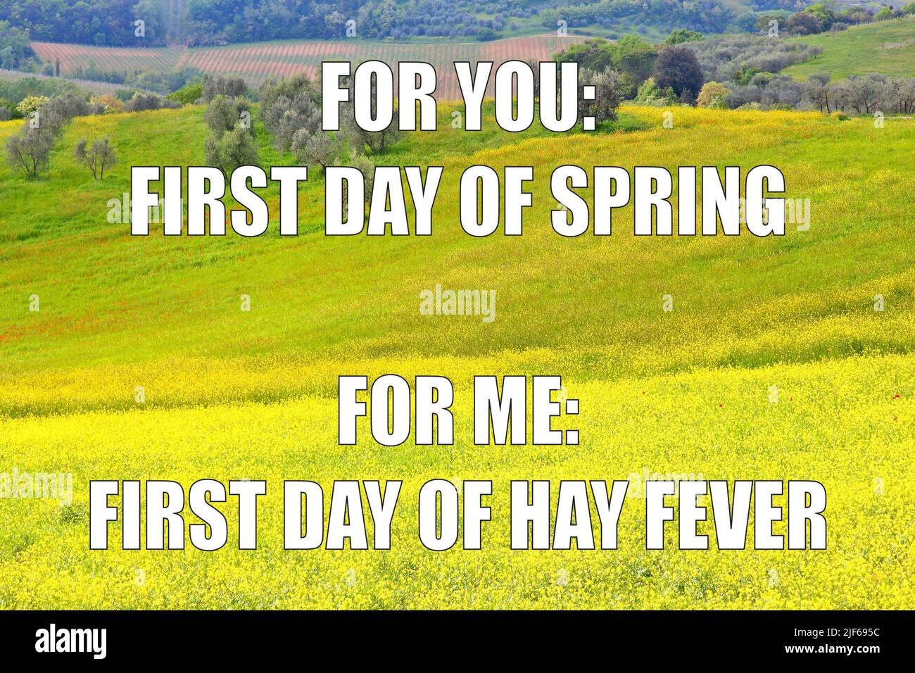 Allergies season funny meme for social media sharing. Spring time ...