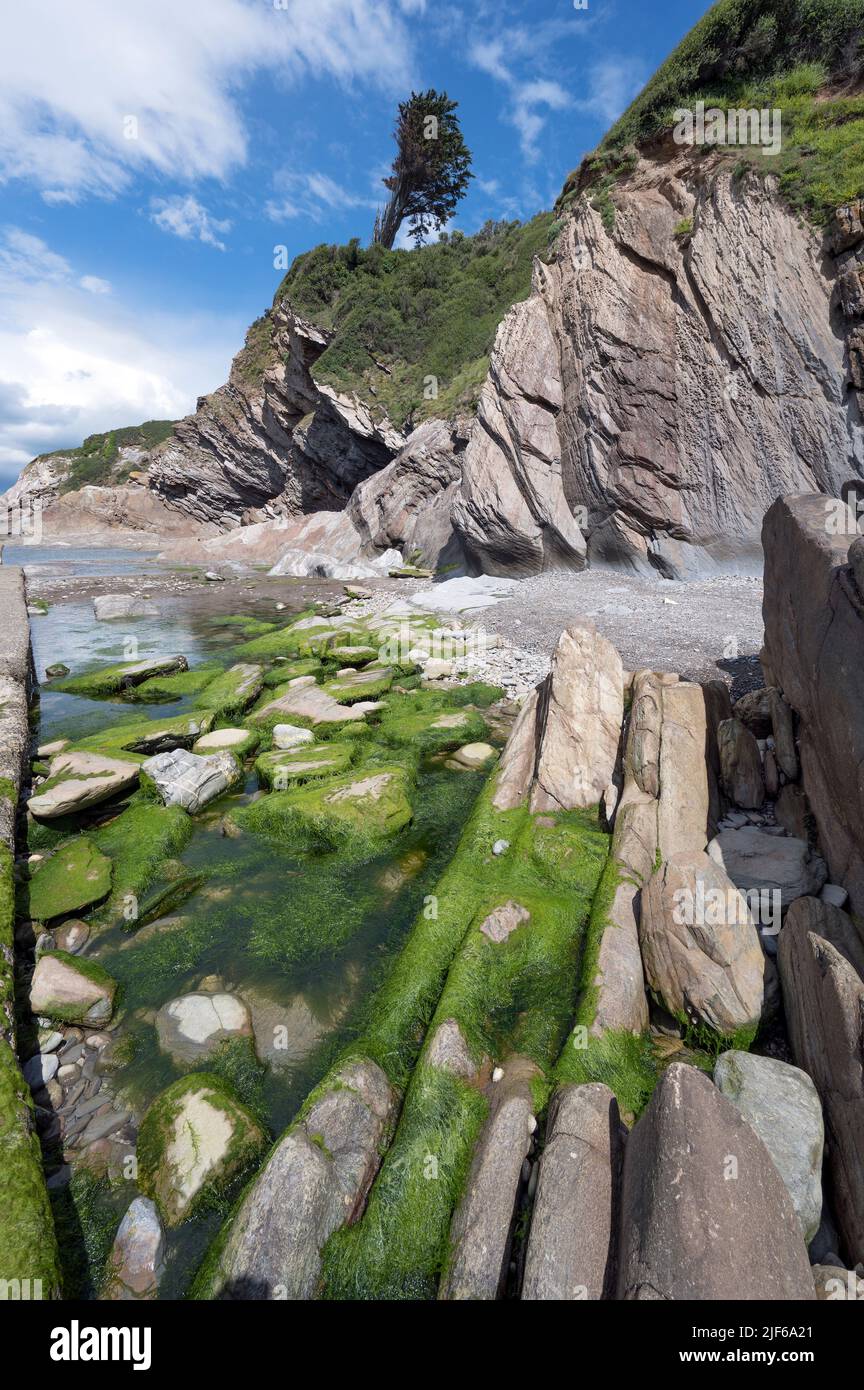 North Devon rugged rock pools at the beach at Coombe Martin on the ...