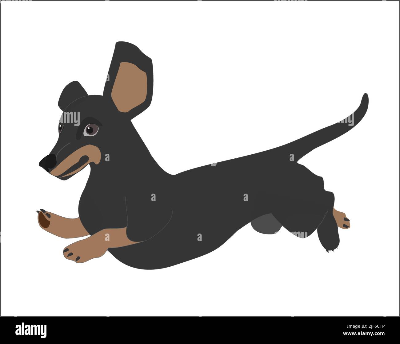 Dachshund dog run Stock Vector Images - Alamy