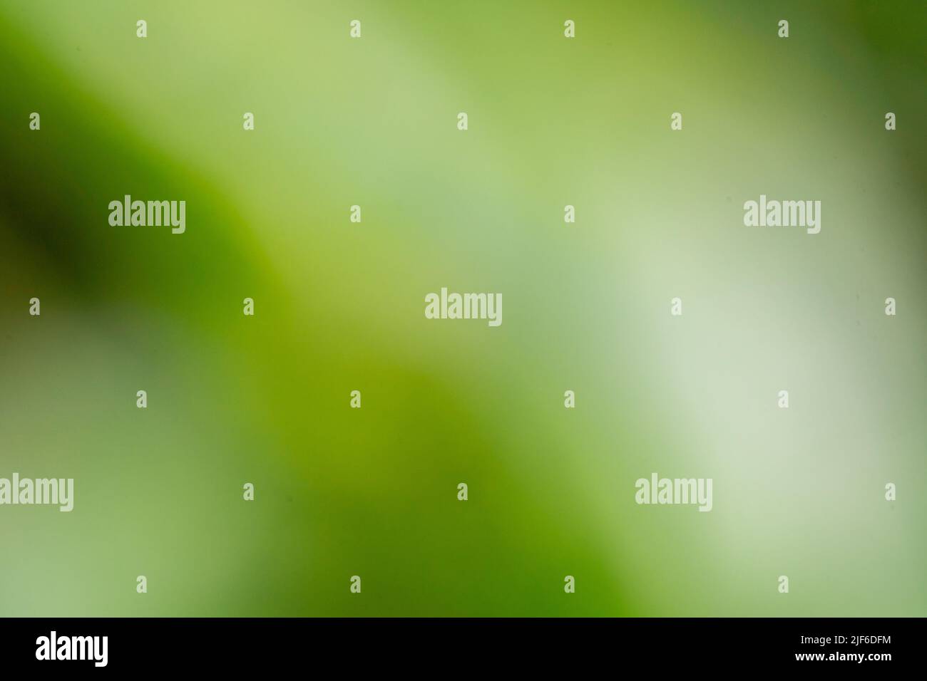 Green color blur photo wallpaper. Camera lens effect blur wallpaper ...