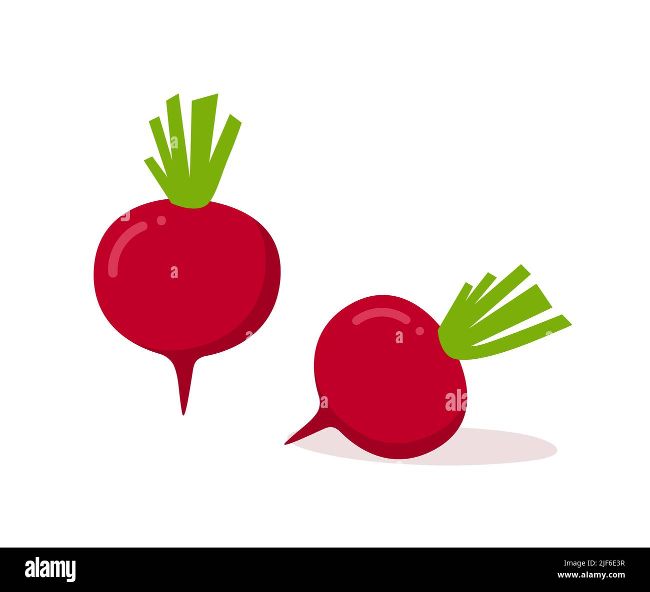 raw radish clipart icon with leaf. flat vector illustration design ...
