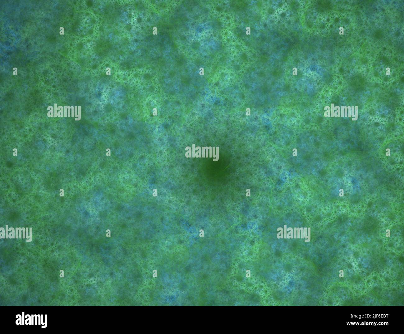 Imaginatory lush fractal texture image abstract background Stock Photo ...
