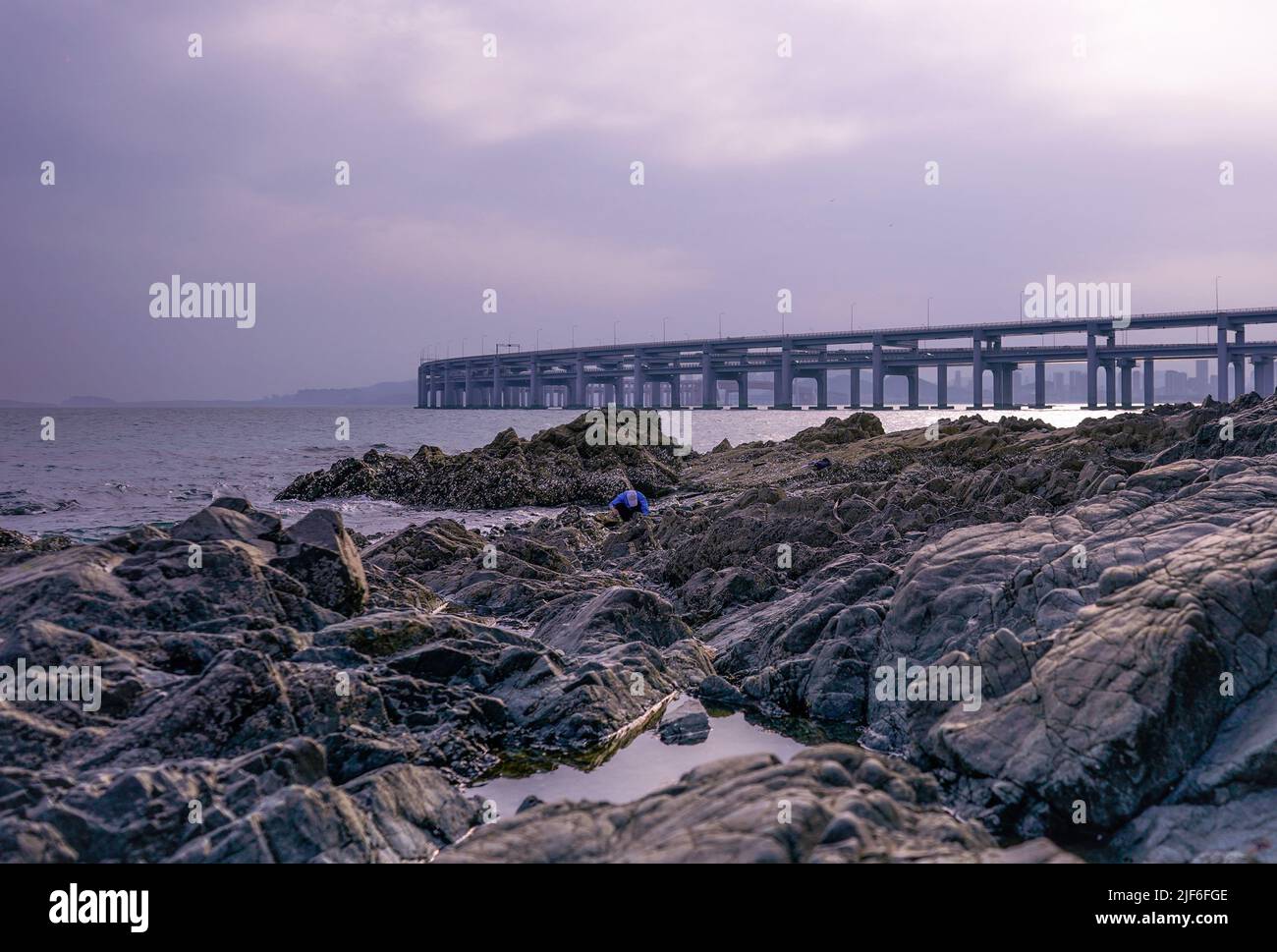 The rocky shore with Dalian Xinghai Bay Bridge in the background ...