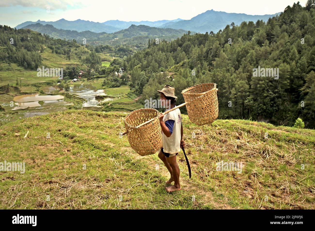 A farmer carries bamboo baskets as he is walking on agricultural ...