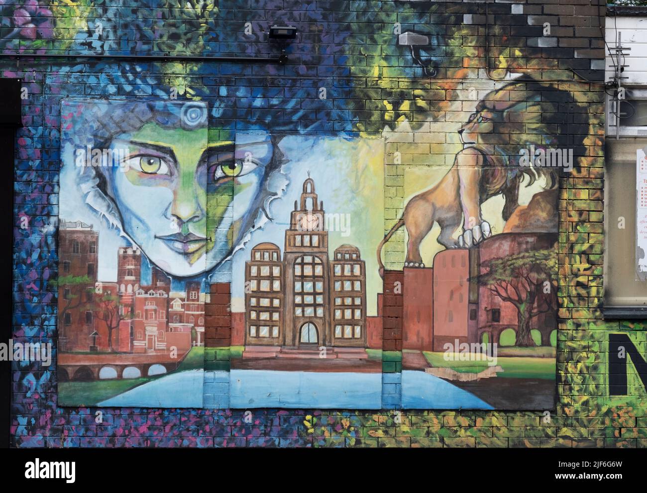 Best of the street art in Liverpool,England Stock Photo - Alamy