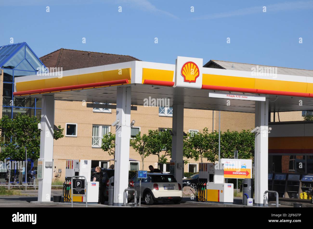 Ducteh royal shell hi-res stock photography and images - Alamy