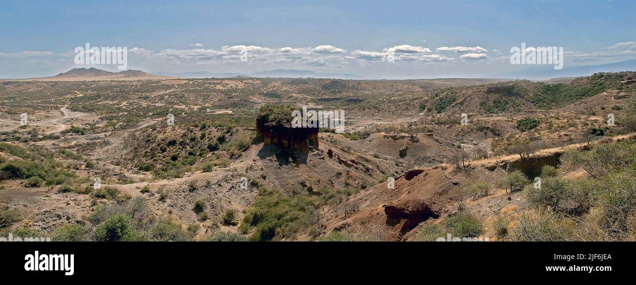 Human fossil tanzania hi-res stock photography and images - Alamy