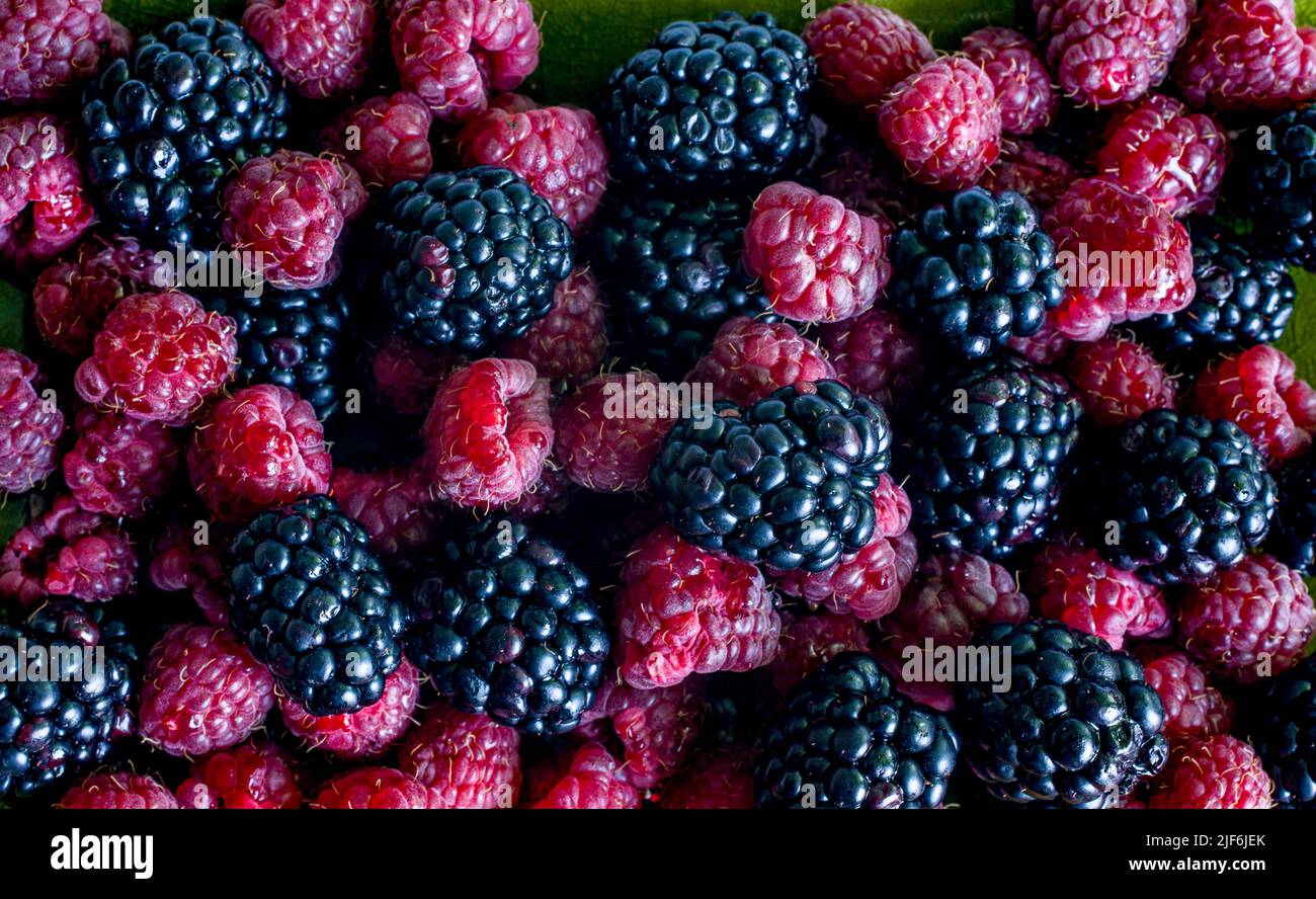 mixed berries full frame berries Stock Photo - Alamy