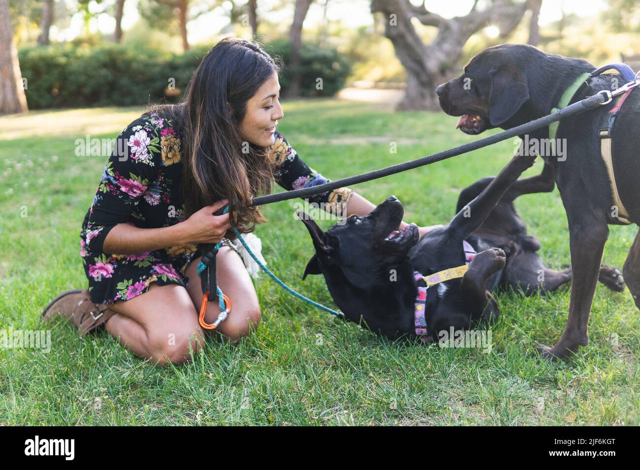 Excited female owner laughing while resting on lawn and playing with ...