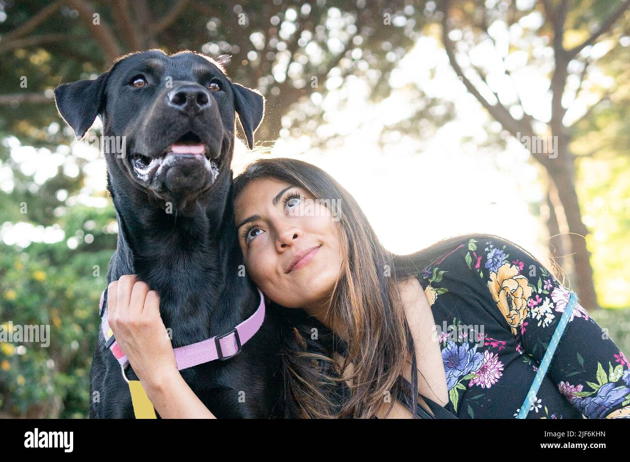 Cheerful female owner with long hair embracing and caressing loyal ...
