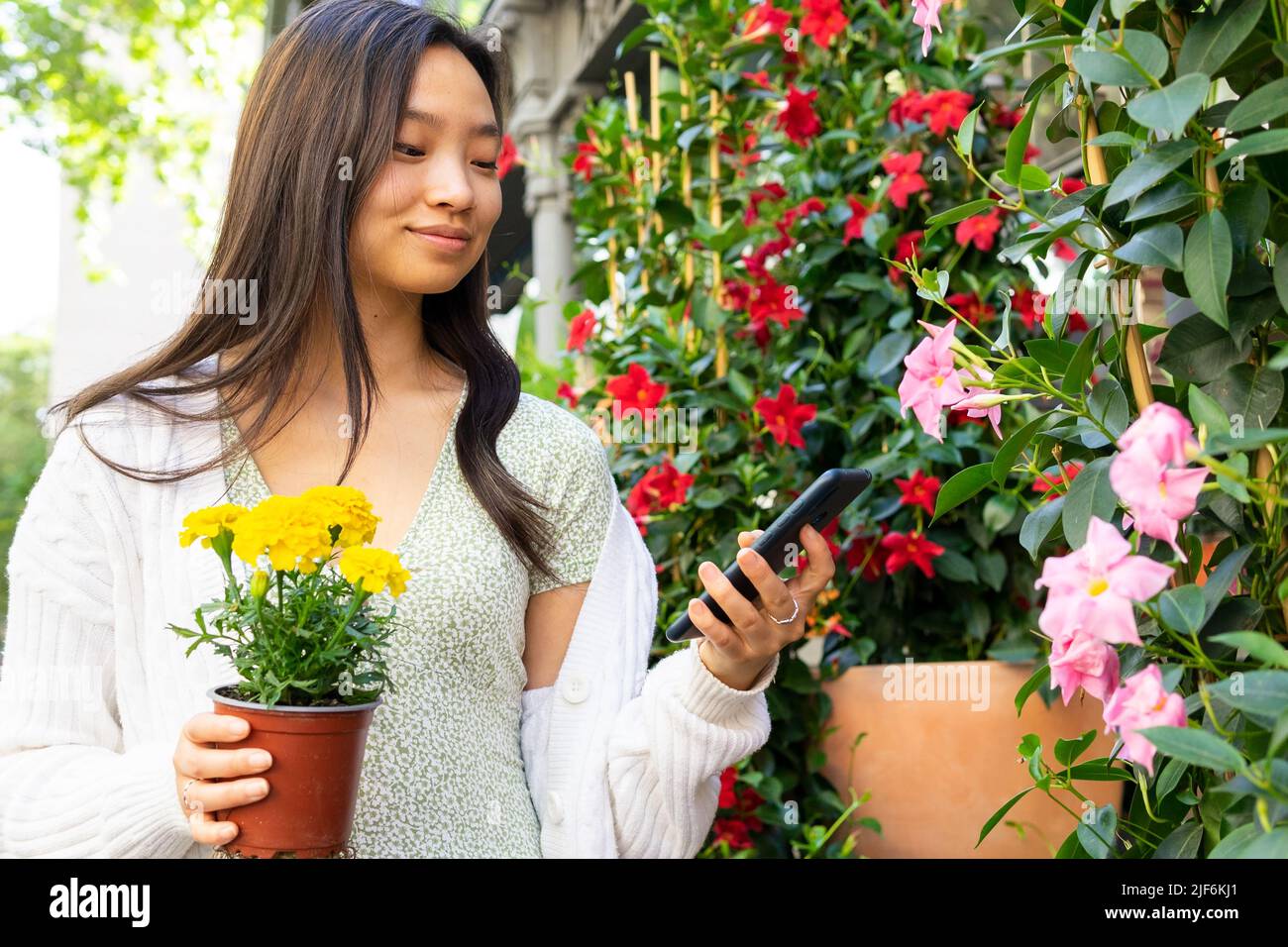 Content Asian female holding pot with blossoming yellow marigolds and ...