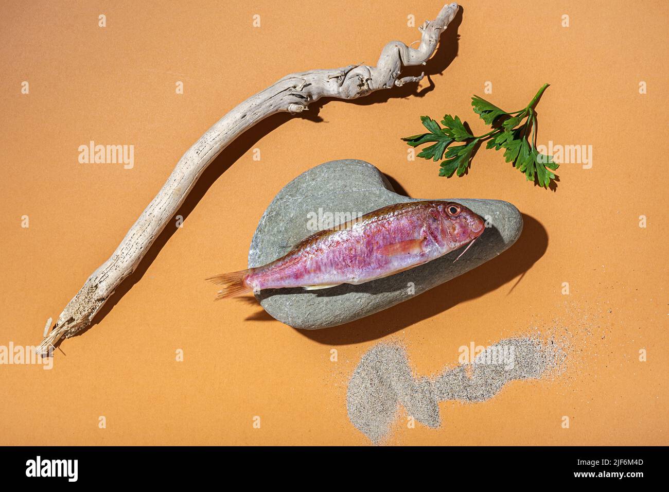 Top view of red mullus barbatus fish placed on rock near dry sticks and ...