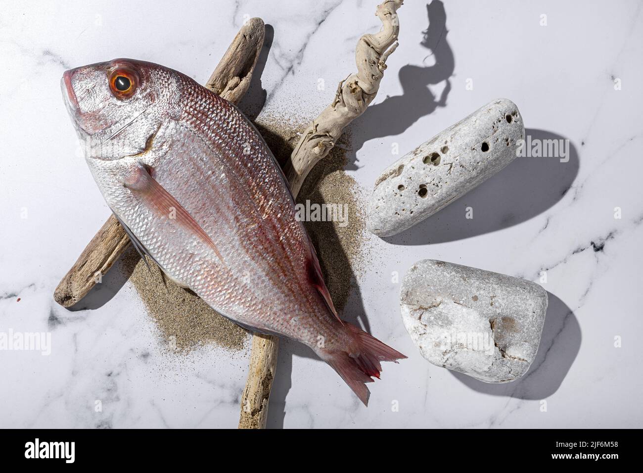 Top view of raw common seabream fish placed on stones near driftwood ...