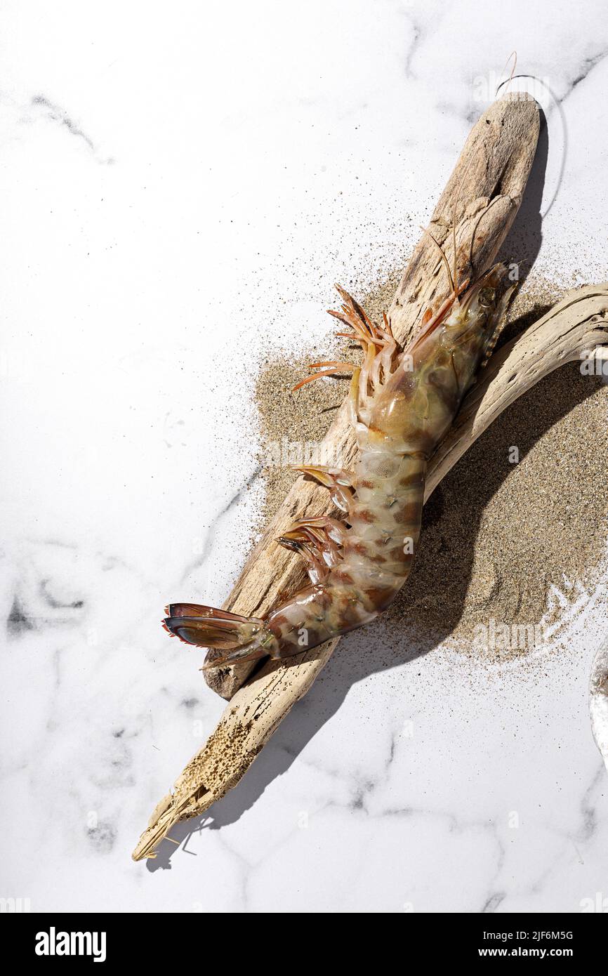 Top view of raw common prawn and driftwood sticks placed near dry sand ...