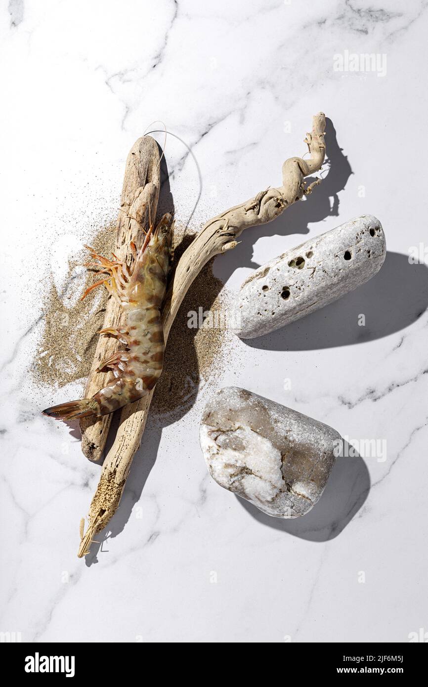 Top view of raw common prawn and driftwood sticks placed near dry sand ...