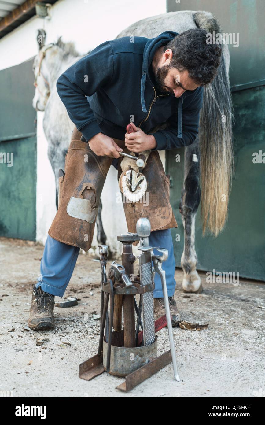 man in dirty chaps fixing hoof from horse during work in yard outside ...