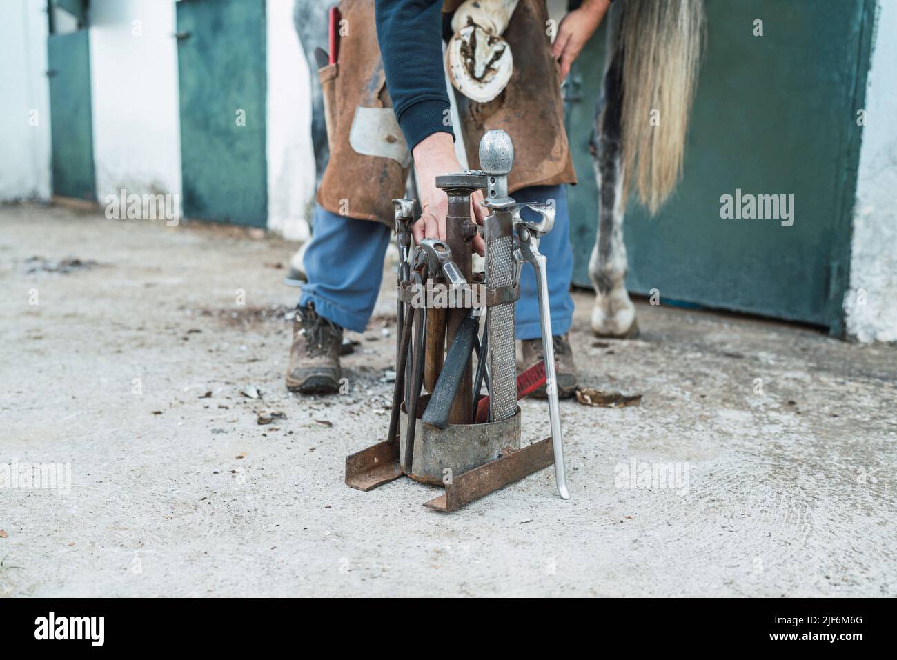 Crop anonymous male in uniform trimming hoof of horse while standing ...