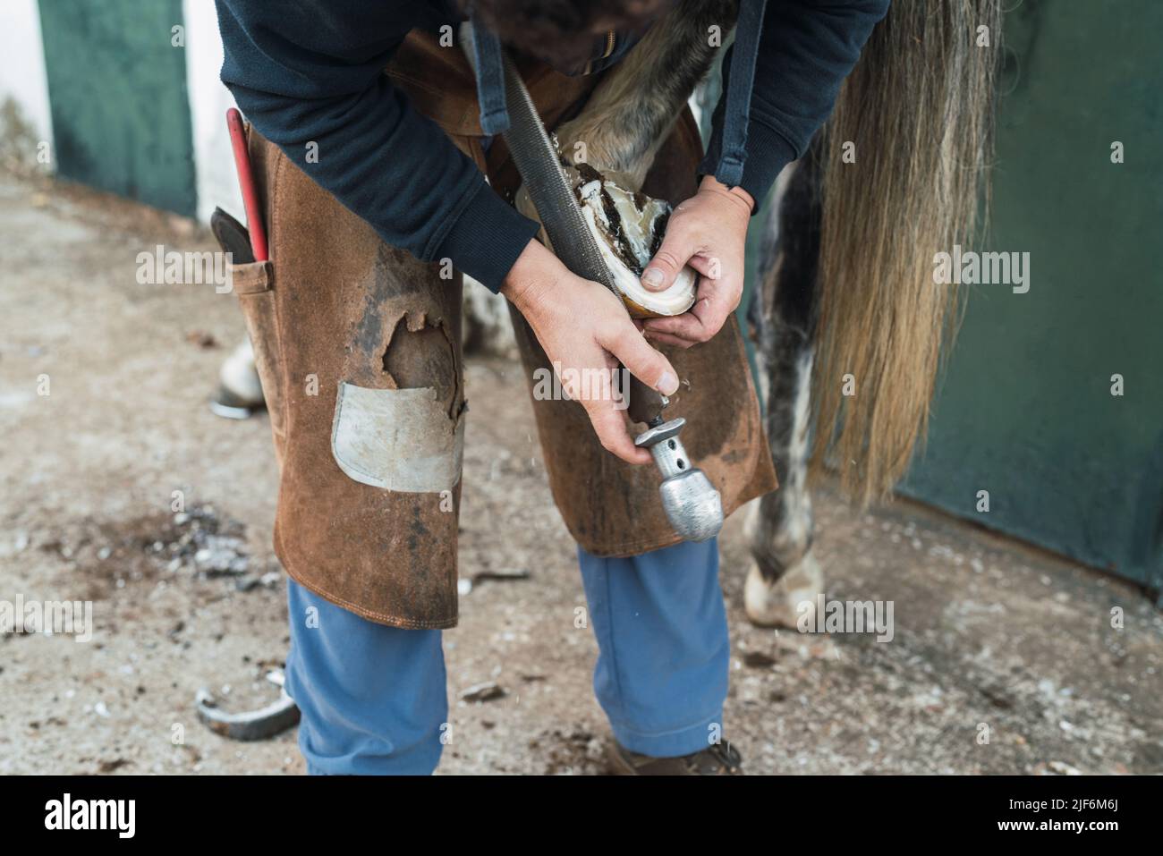 Crop anonymous male in uniform trimming hoof of horse with horseshoe ...