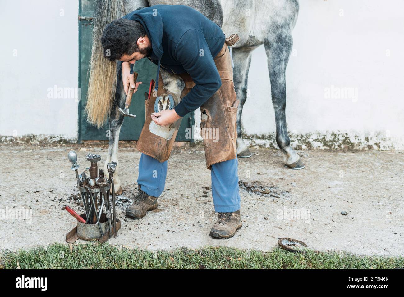 man in dirty chaps fixing hoof from horse during work in yard outside ...