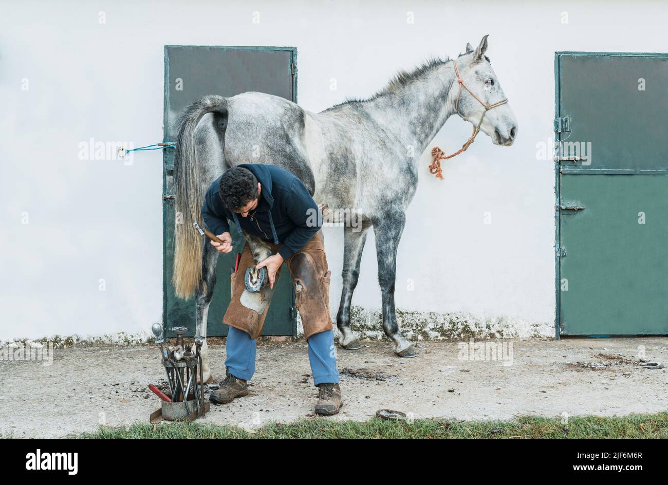 man in dirty chaps fixing hoof from horse during work in yard outside ...