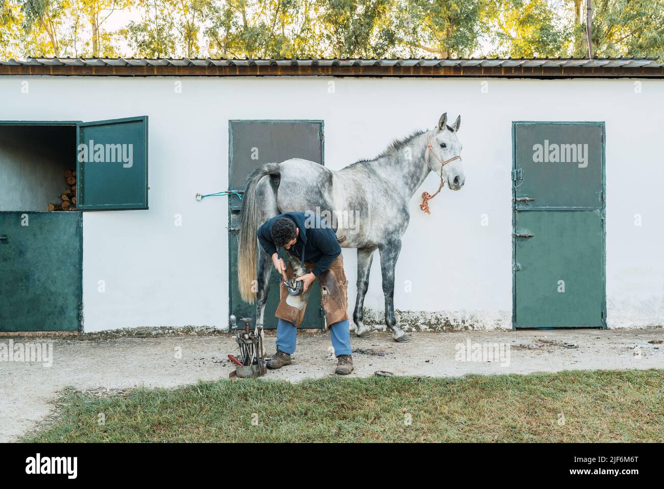 man in dirty chaps fixing hoof from horse during work in yard outside ...