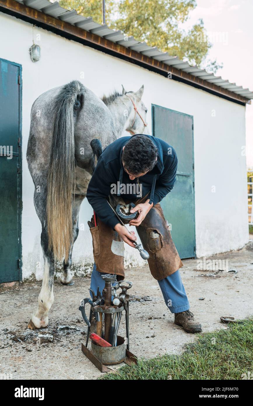man in dirty chaps fixing hoof from horse during work in yard outside ...