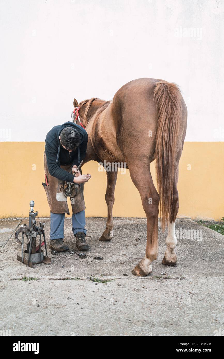 Full body man in apron attaching horseshoe to hoof of brown horse ...