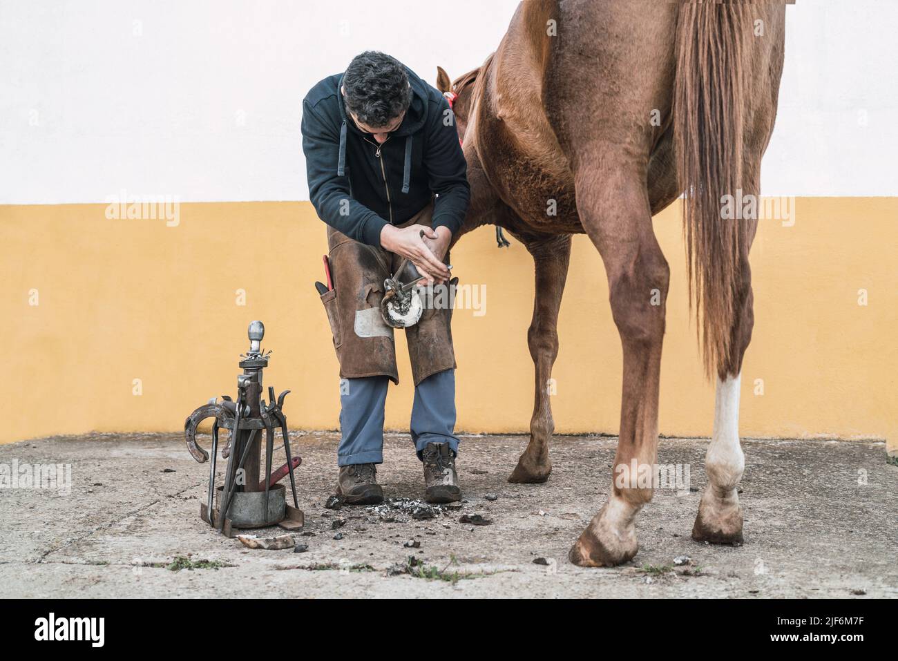 Full body man in apron attaching horseshoe to hoof of brown horse ...