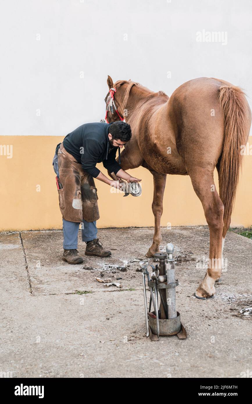man in dirty chaps fixing hoof from horse during work in yard outside ...