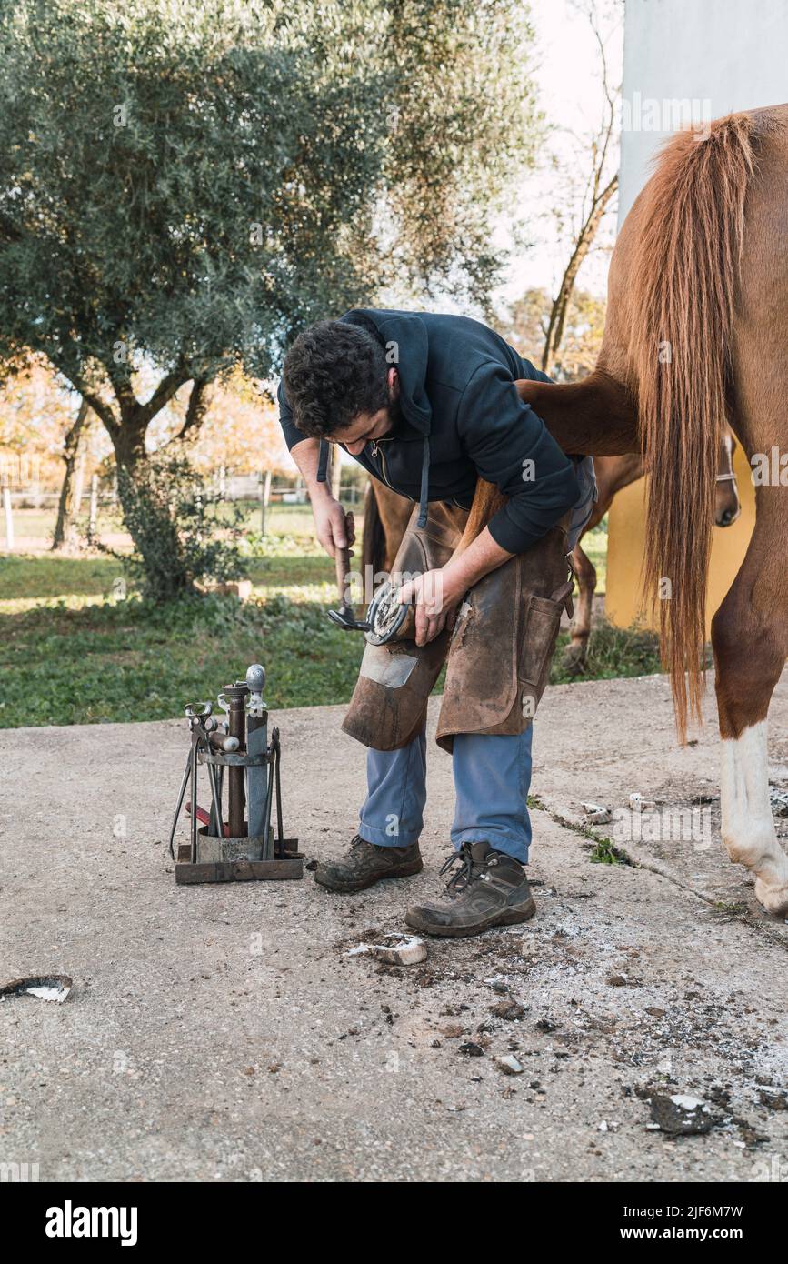 man in dirty chaps fixing hoof from horse during work in yard outside ...